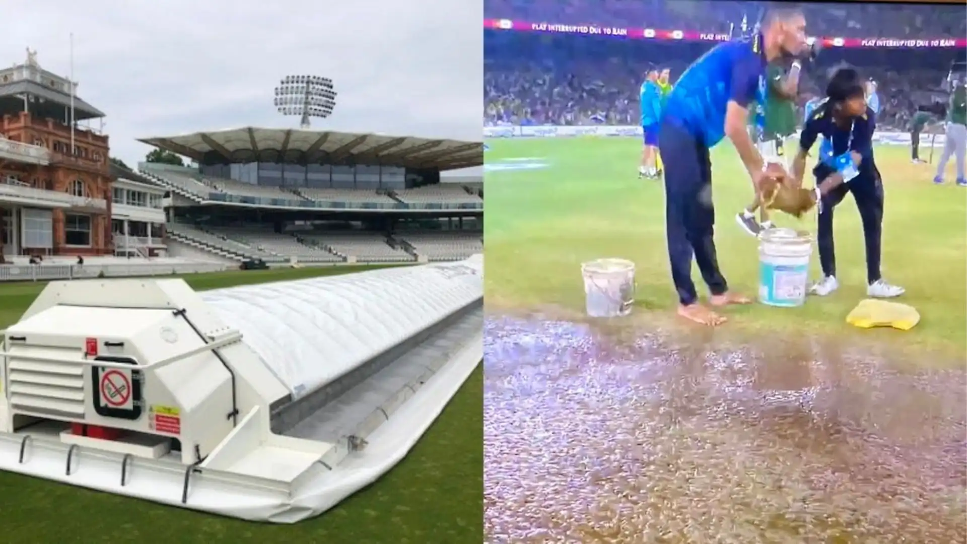 All You Need to Know About Hover Cover; Why Is It Trending After IPL ...