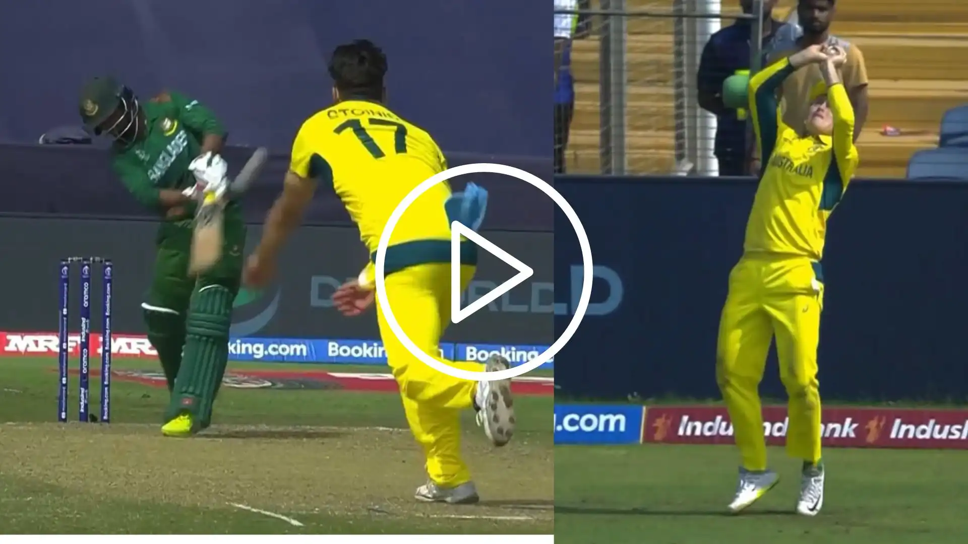 [Watch] Labuschagne's Spectacular Catch Sends Towid Hridoy Packing At ...