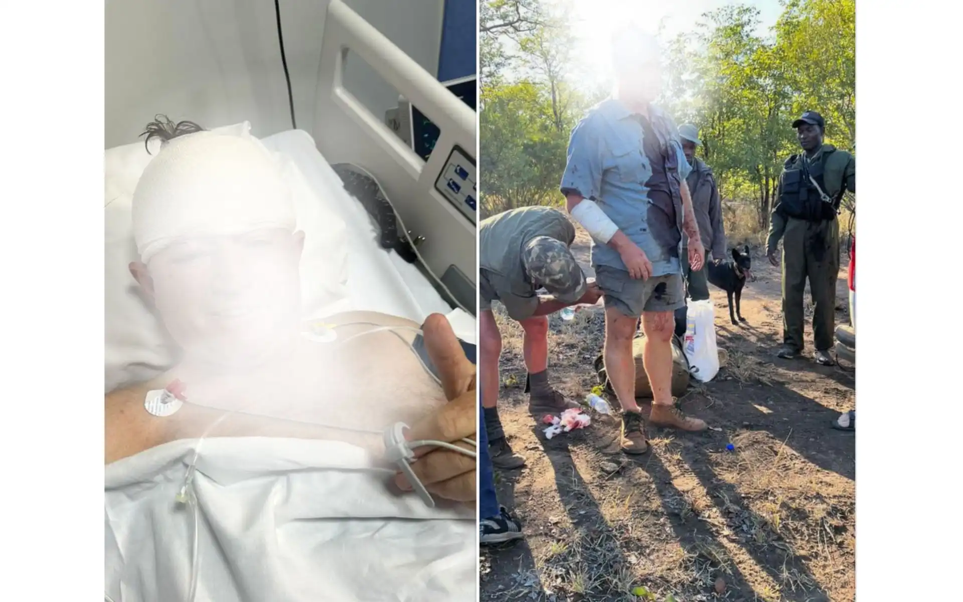 Zimbabwe's 3-Time World Cup Player Guy Whittall Survives A Deadly ...