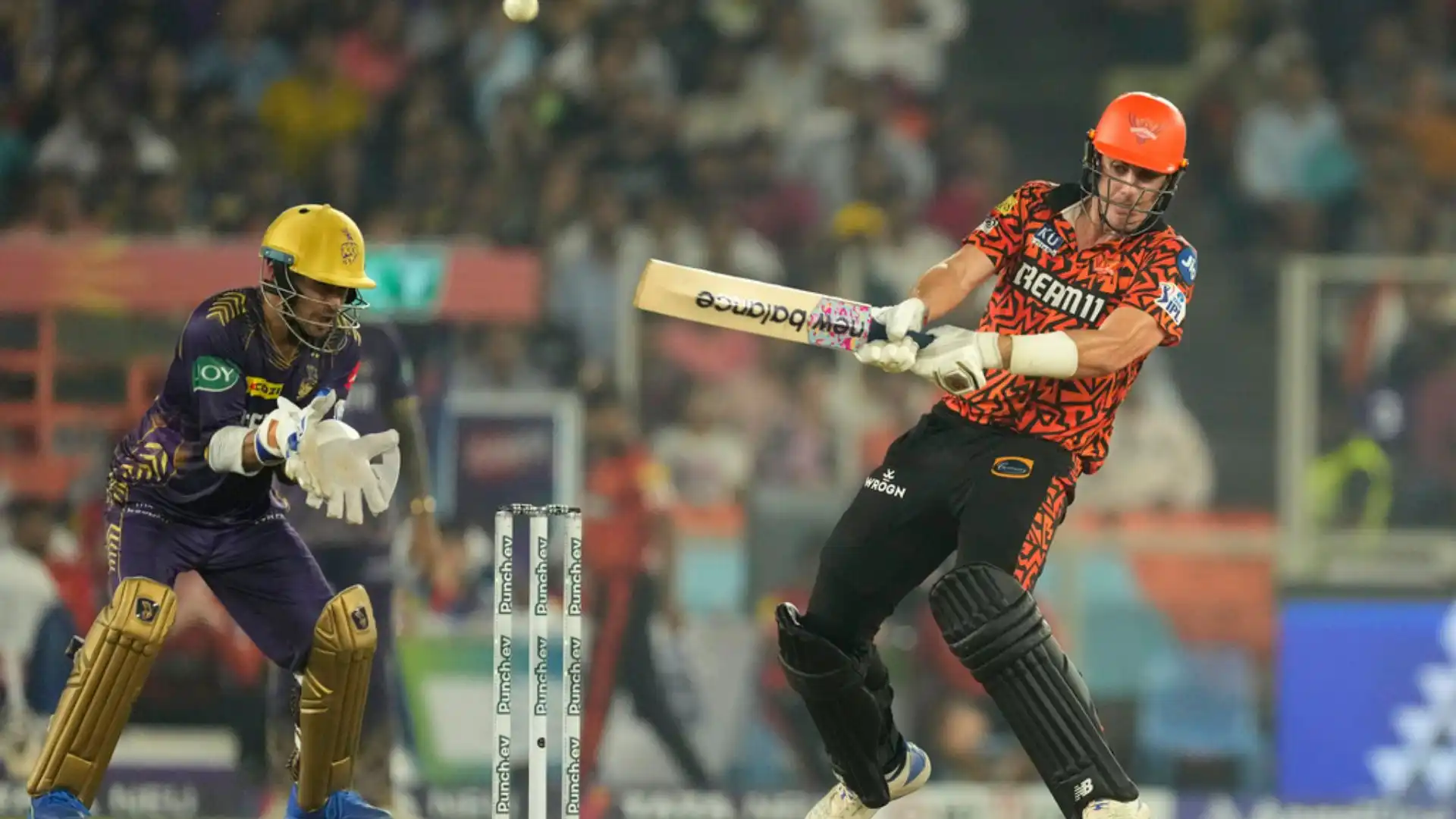 Cricket Expert Analysis, Head To Head, Stats And Match Prediction