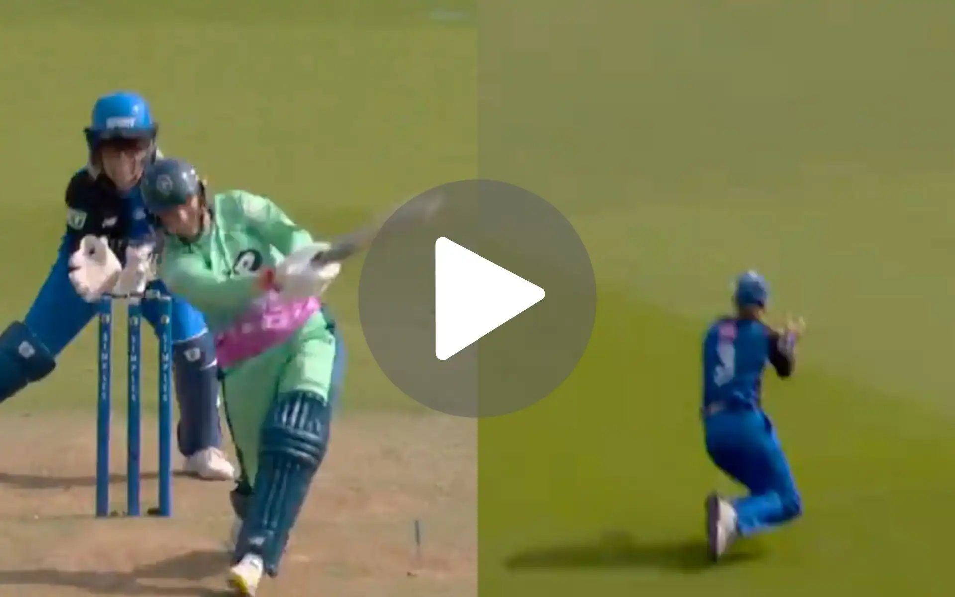 [Watch] Charlie Dean Takes An Acrobatic Catch To Stun The Invincibles ...