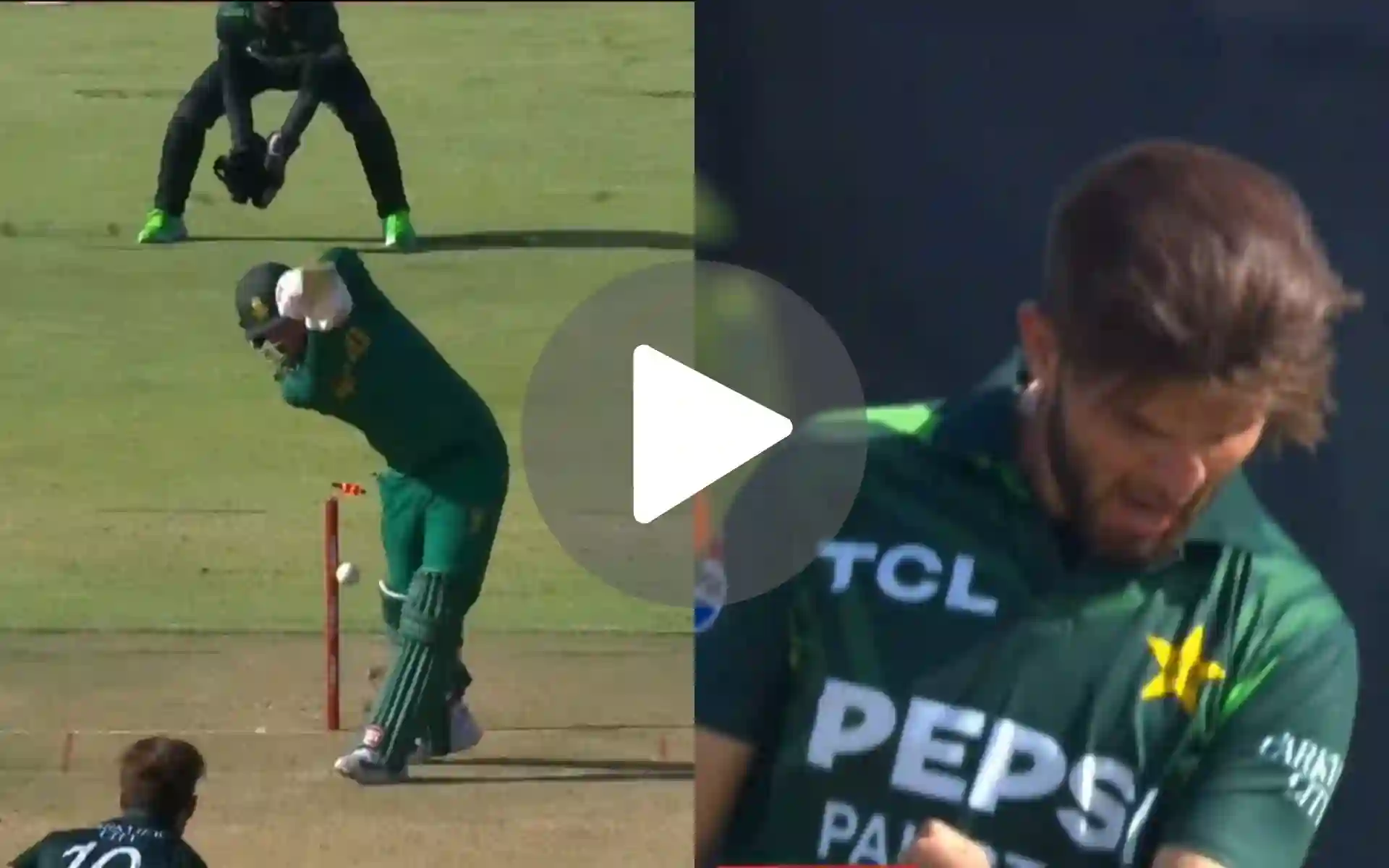 [Watch] Middle Stump Uprooted! Shaheen Afridi Punches In Air After ...