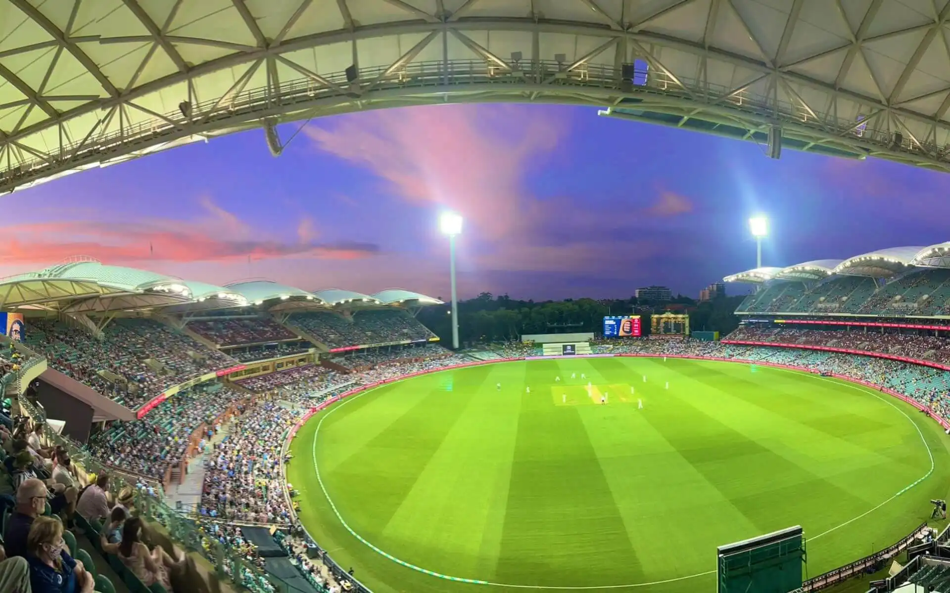 Adelaide Oval Pitch Report For STR vs STA BBL 2024-25 Match 6 | cricket ...