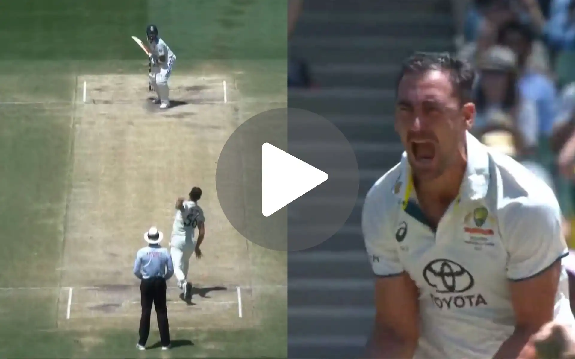 [Watch] Starc Gives Virat Kohli A Fiery Send-Off As Fifth-Stump Line ...