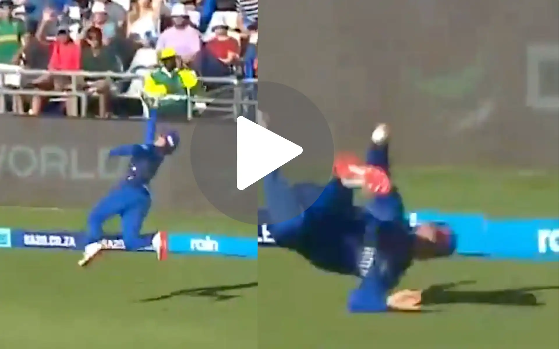[Watch] Never Seen Before! Dewald Brevis Takes Gravity-Defying Catch In ...