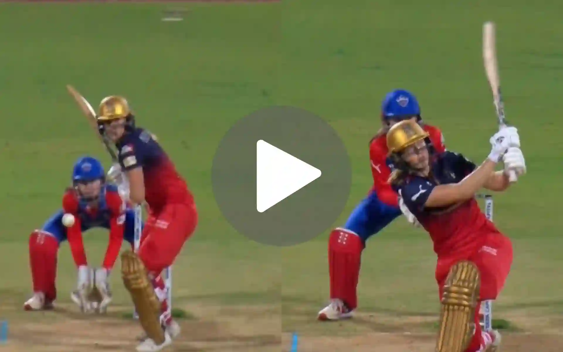 Ellyse Perry Rocks In Traditional Indian Saree; Fans Smitten By Her ...