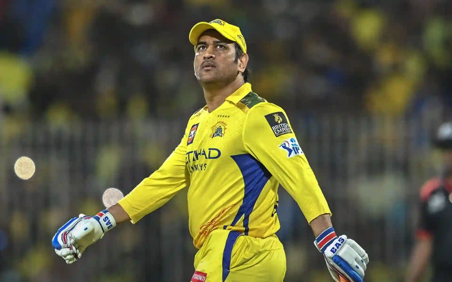 MS Dhoni IPL Price | OneCricket