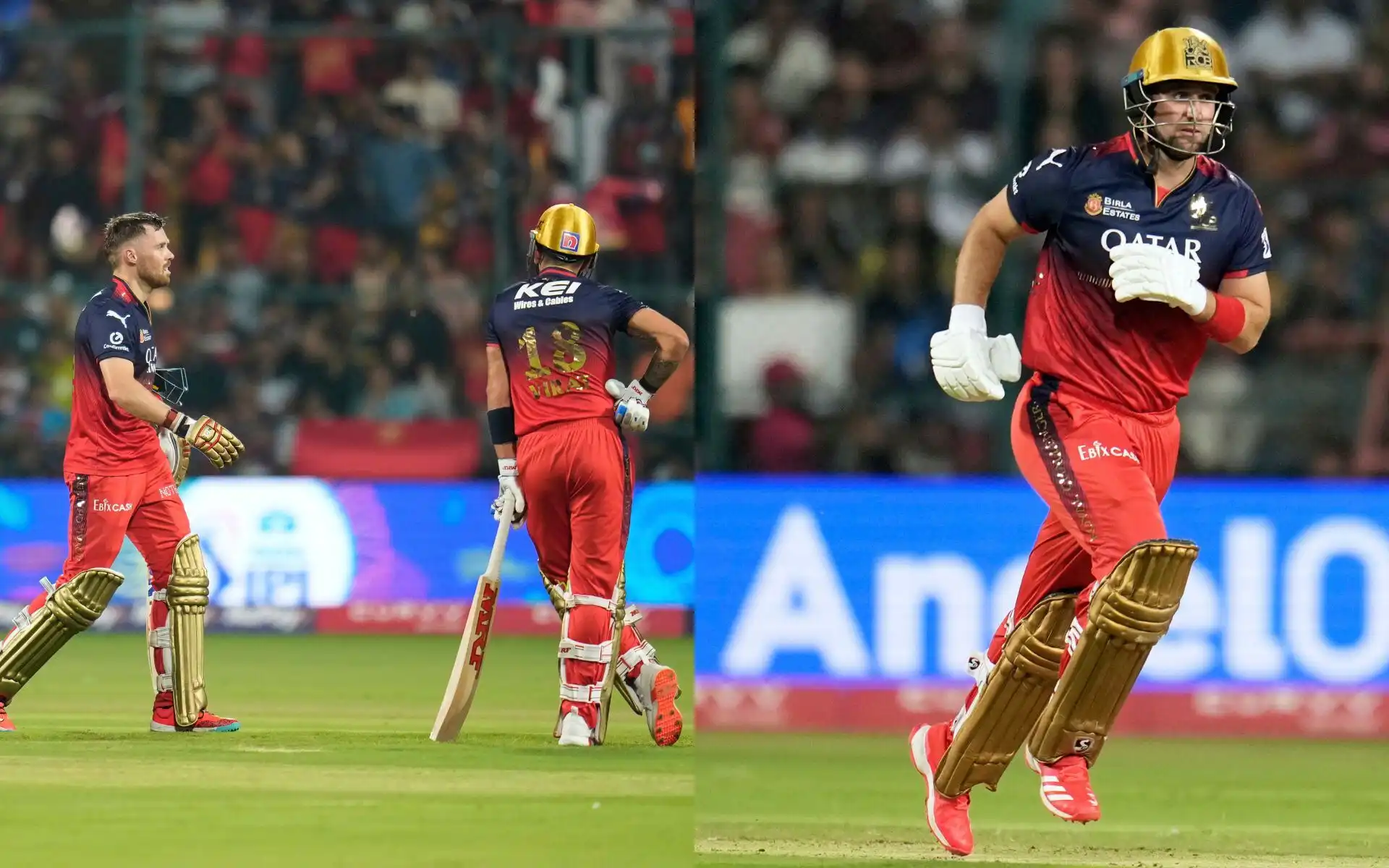 Salt Over Livingstone? How RCB Made A Fool Of Themselves While ...