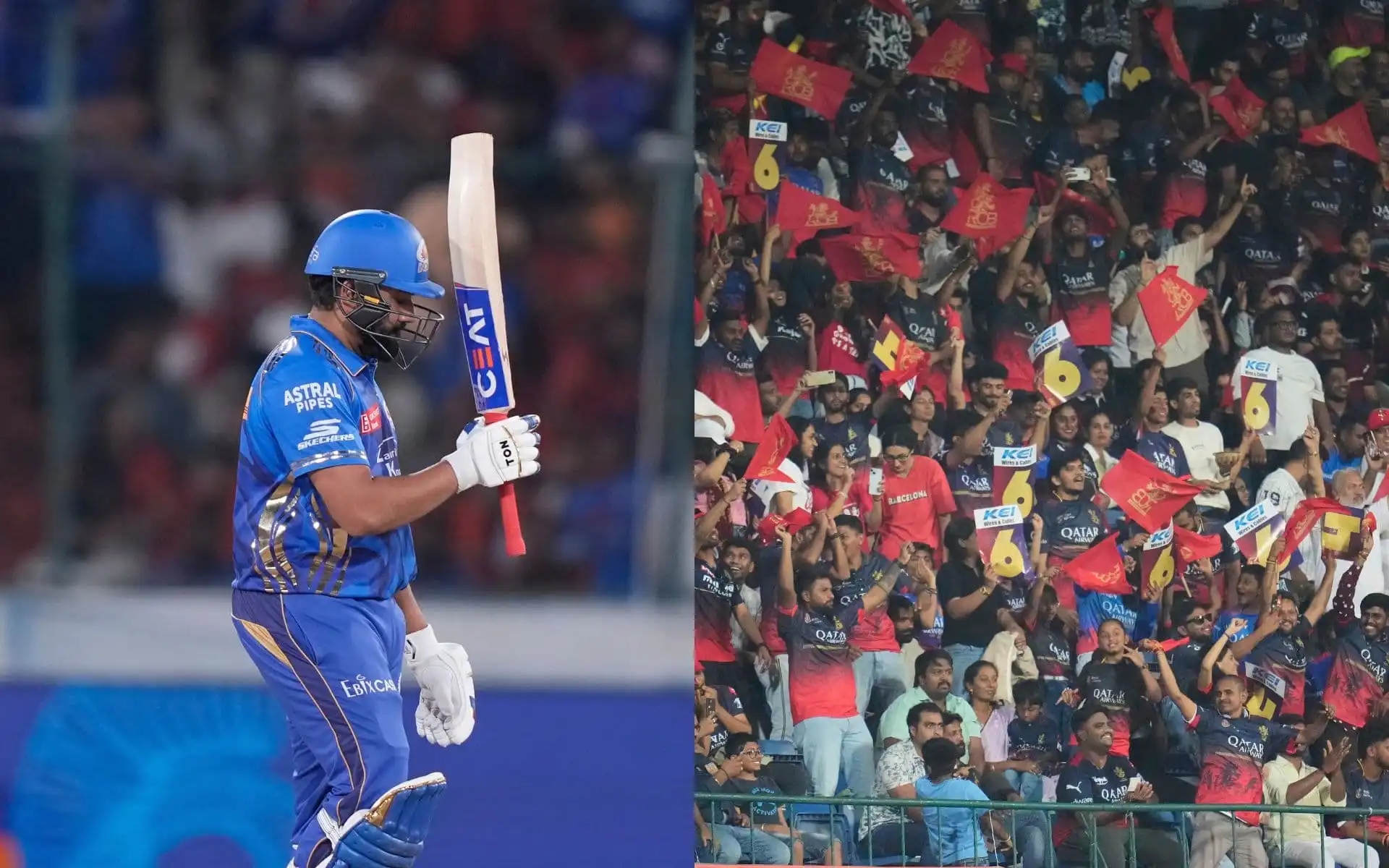 Rohit Sharma Slams 2nd Consecutive Fifty; RCB Fans Erupt In Joy Due To ...